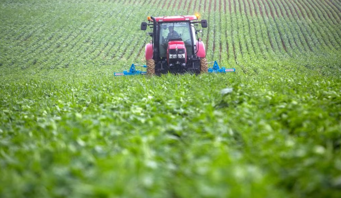Acuerdan impulsar desarrollo sostenible de agroecosistemas del Chaco ...