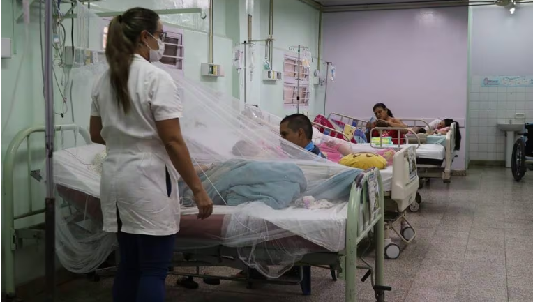 Casos de dengue y covid-19 llegará a su pico máximo en dos semanas, estiman - Ponta Porã Informa ...
