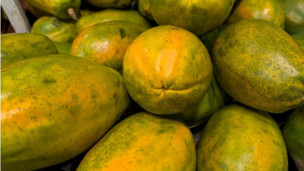 Como escolher mamão? Veja dicas para saber se a fruta está madura ...