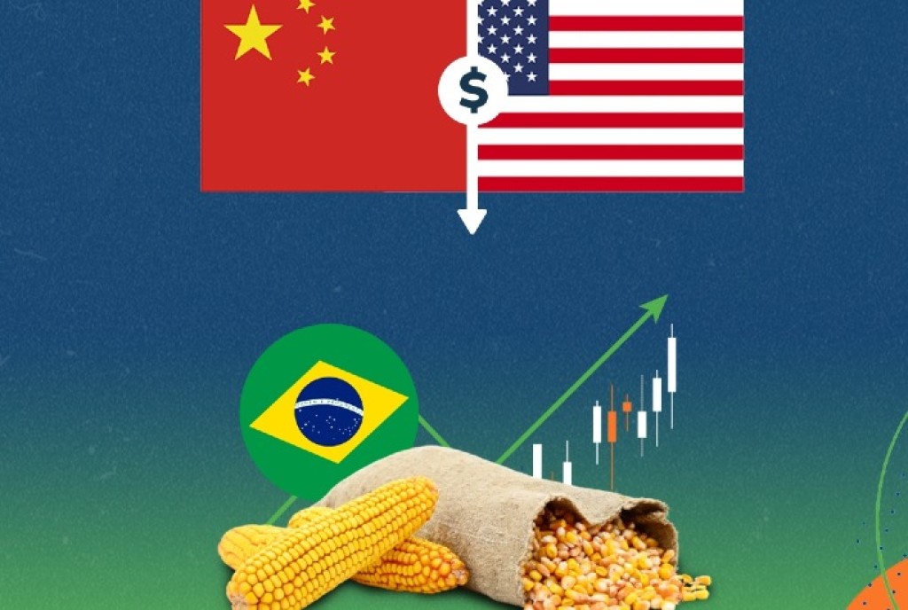 Os Impactos do Retorno de Donald Trump à Presidência dos EUA para o ...